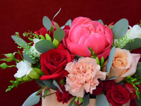 Florarie Timisoara online | Livrare flori la domiciliu in 2 ore