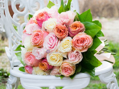 Florarie Timisoara online | Livrare flori la domiciliu in 2 ore