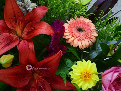Florarie Online - Livrare Flori in Timisoara - Flower Shop