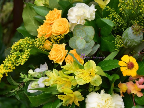 Florarie Online - Livrare Flori in Timisoara - Flower Shop