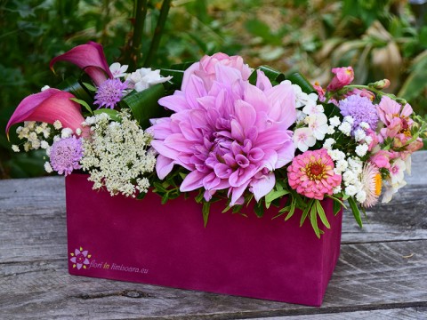 Florarie Online - Livrare Flori in Timisoara - Flower Shop